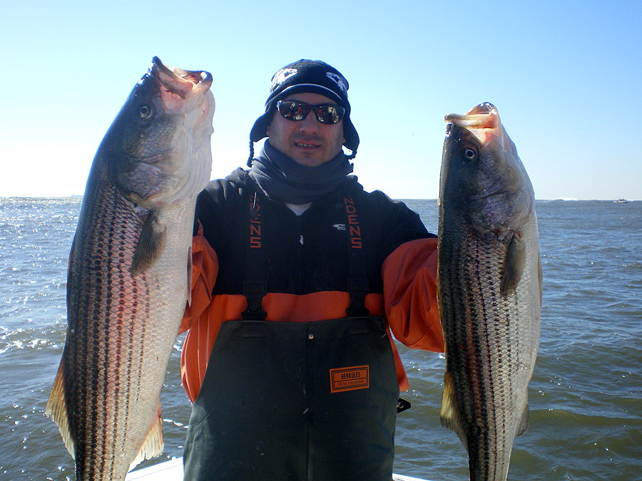 Fishing / Photos / Pictures / Sea Rogue Charters