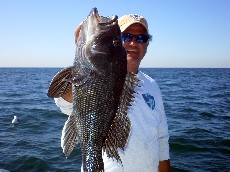 Fishing / Photos / Pictures / Sea Rogue Charters