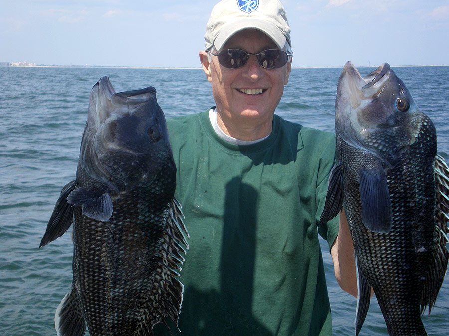 Fishing / Photos / Pictures / Sea Rogue Charters