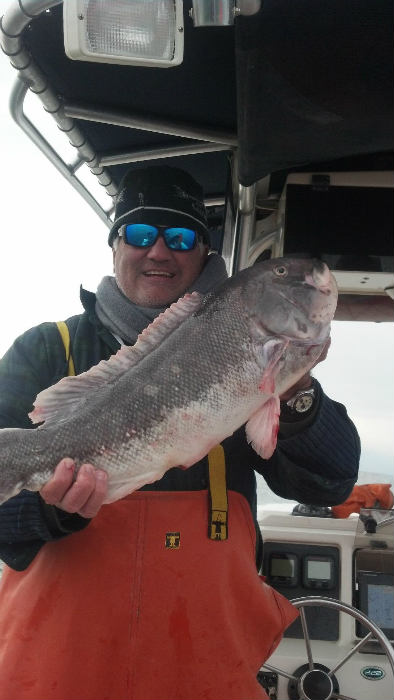 Fishing / Photos / Pictures / Sea Rogue Charters