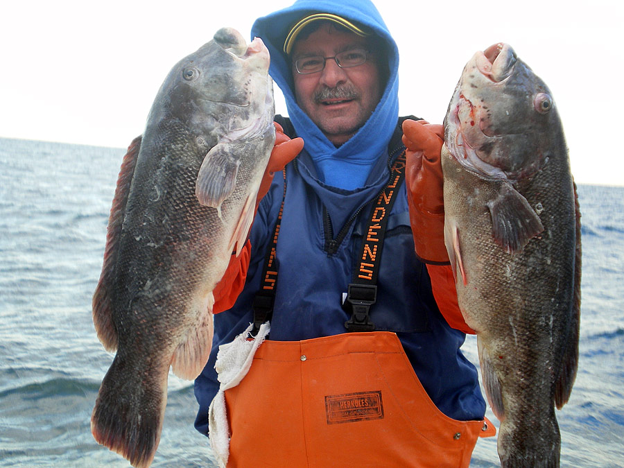 Fishing / Photos / Pictures / Sea Rogue Charters