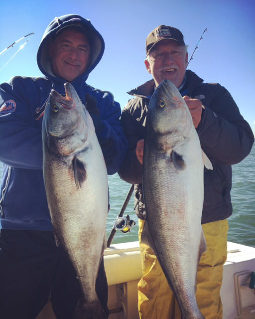 Fishing / Photos / Pictures / Sea Rogue Charters